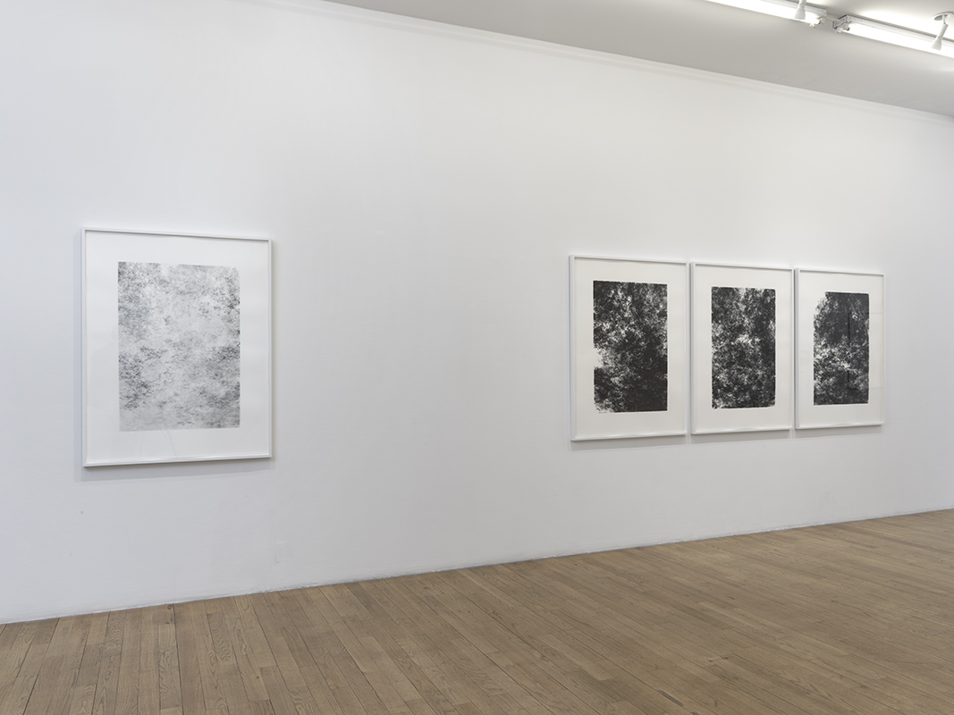 Installation view - bitforms gallery