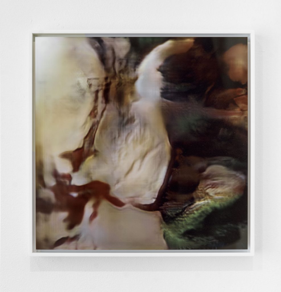 Alchemical, Jan St. Werner, Casey Reas - bitforms gallery