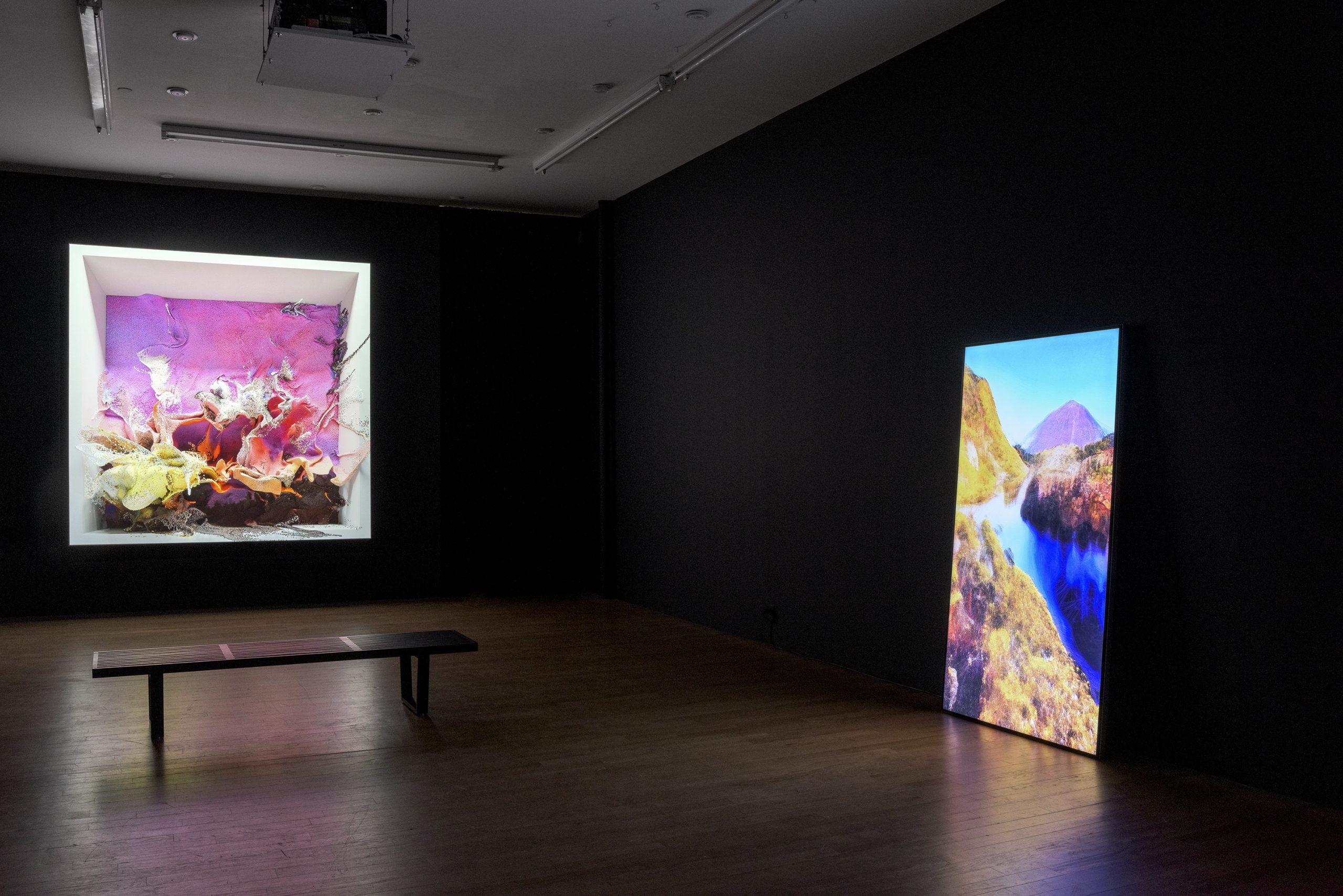 About bitforms gallery