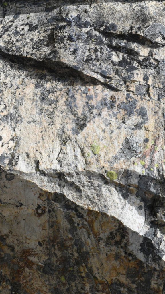 CV 55_01 - bitforms gallery