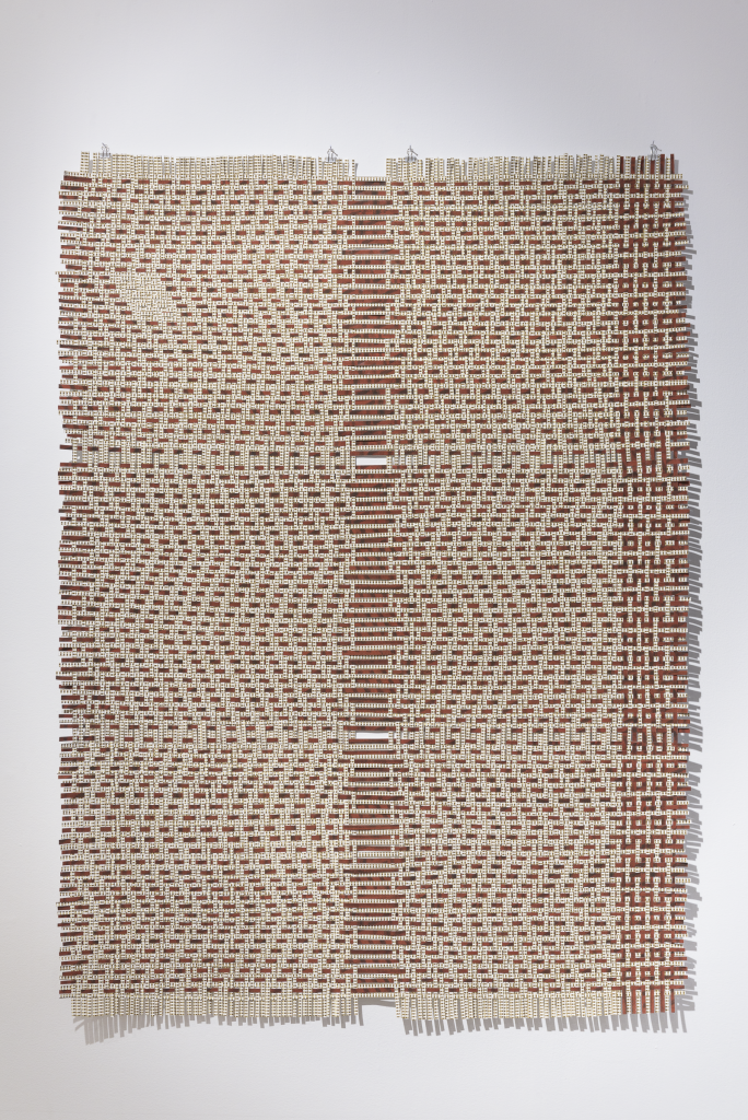 Zebulun Zig Zag by Beryl Korot - bitforms gallery