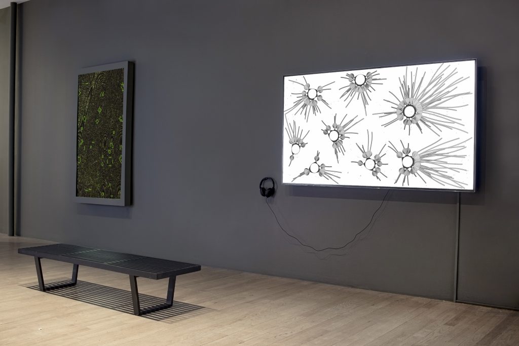 Installation View - bitforms gallery