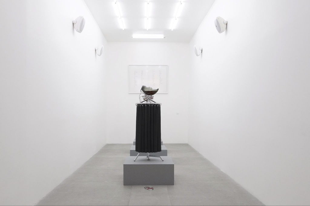 Hybrida by Amor Muñoz - bitforms gallery