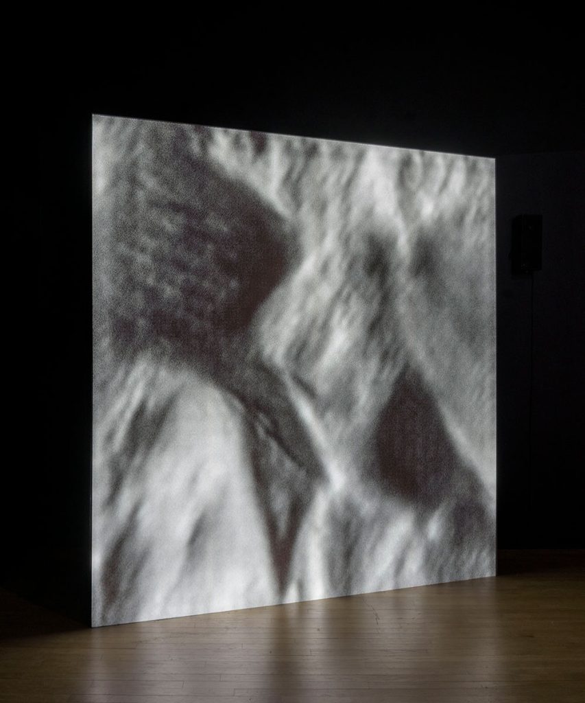 Casey Reas - bitforms gallery